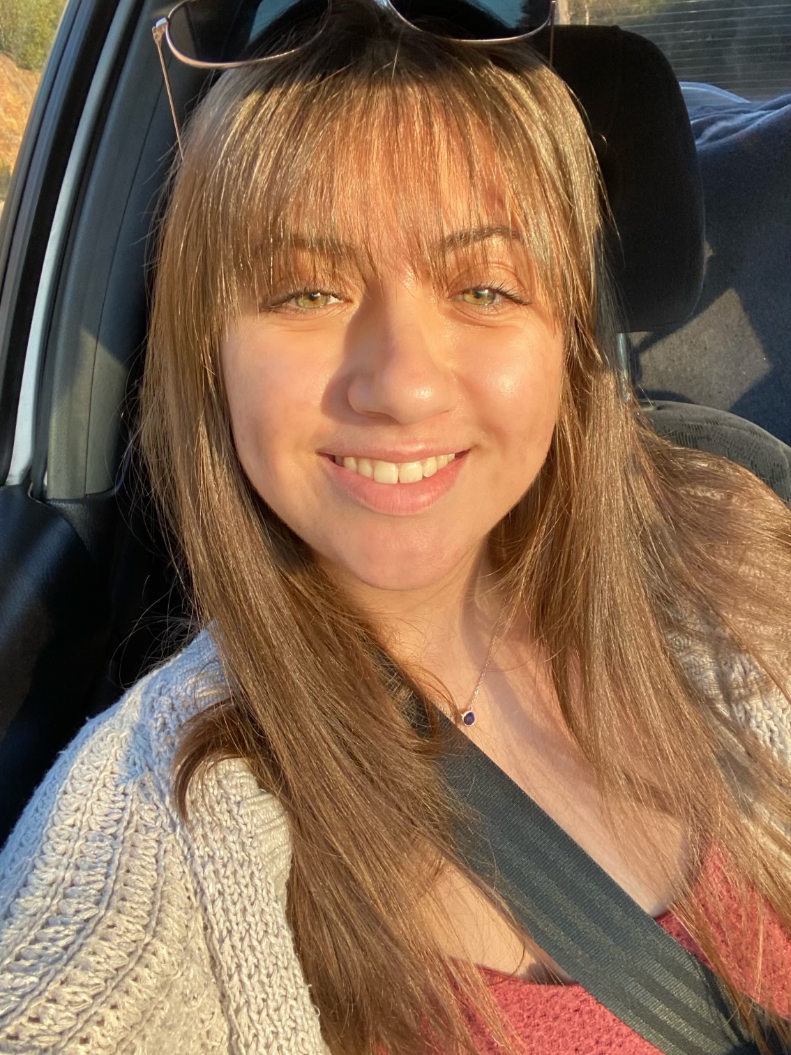 Meet the Mount Mentors