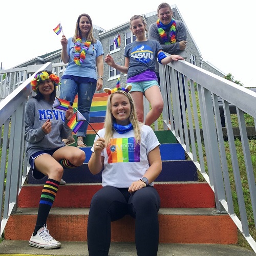 MSVU’s fall 2020 open campus day goes virtual! – Mount Saint Vincent ...