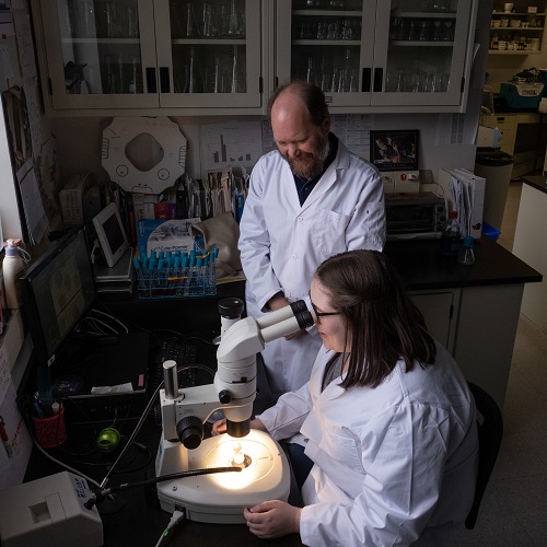 The science behind making better wine – Mount Saint Vincent University