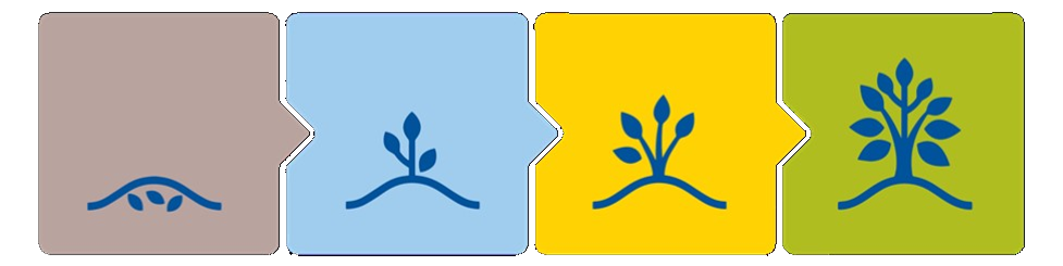 Child and Youth Study – Mount Saint Vincent University