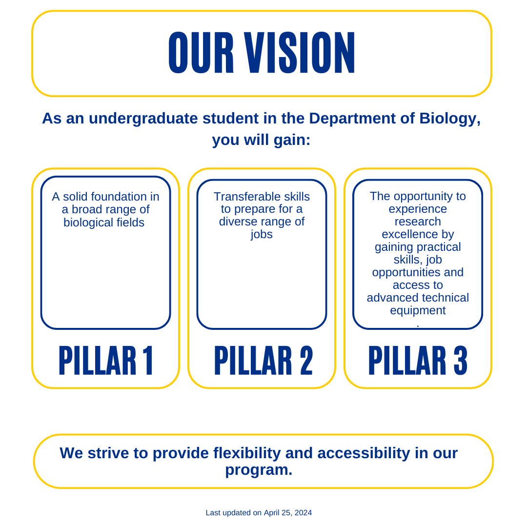 Vision & Program Outcomes